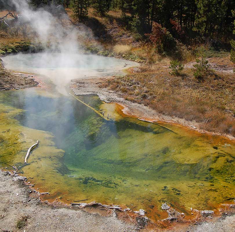 Tour from Phoenix to Yellowstone and Grand Teton National Park