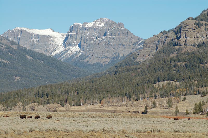 Extended Yellowstone One Day Tour From Bozeman - Yellowstone Tours