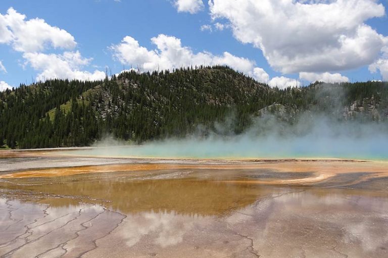 Yellowstone Upper Loop Tour From West Yellowstone - Yellowstone Tours