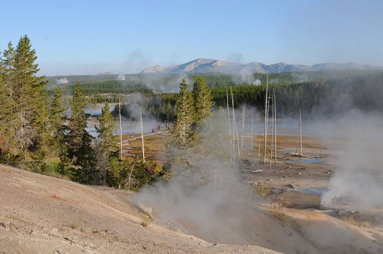 Yellowstone Upper Loop Tour - Yellowstone Tours
